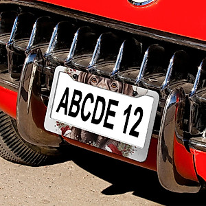 License Plate Frame Chocolate Lab Dog Watercolour Santa Hat License Plate Frames Cover Holders 2 Pieces Merry Christmas Cute Animals Aluminum Metal License Plate Frames for Men/Women 6.3" X 12.3"