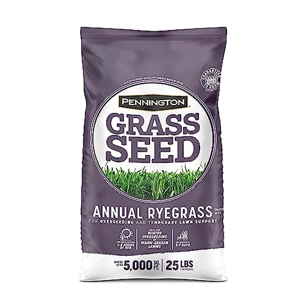Pennington Annual Ryegrass Retail Bag to Overseed Warm Season Grasses, 25 lb