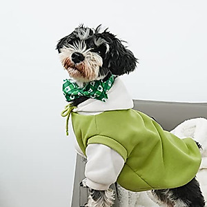 MACA Bates St. Patrick's Day Dog Collar with Bow/Flower/Bow tie, Clover Adjustable Collar for Small Medium Large Dog with Metal Buckle