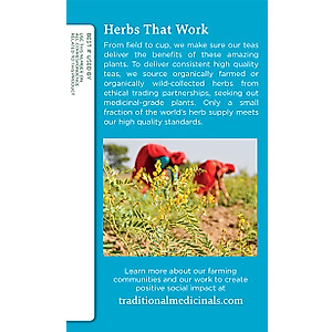 Traditional Medicinals Organic EveryDay Detox Dandelion Herbal Tea, Supports Liver & Kidney Function, (Pack of 3) - 48 Tea Bags Total