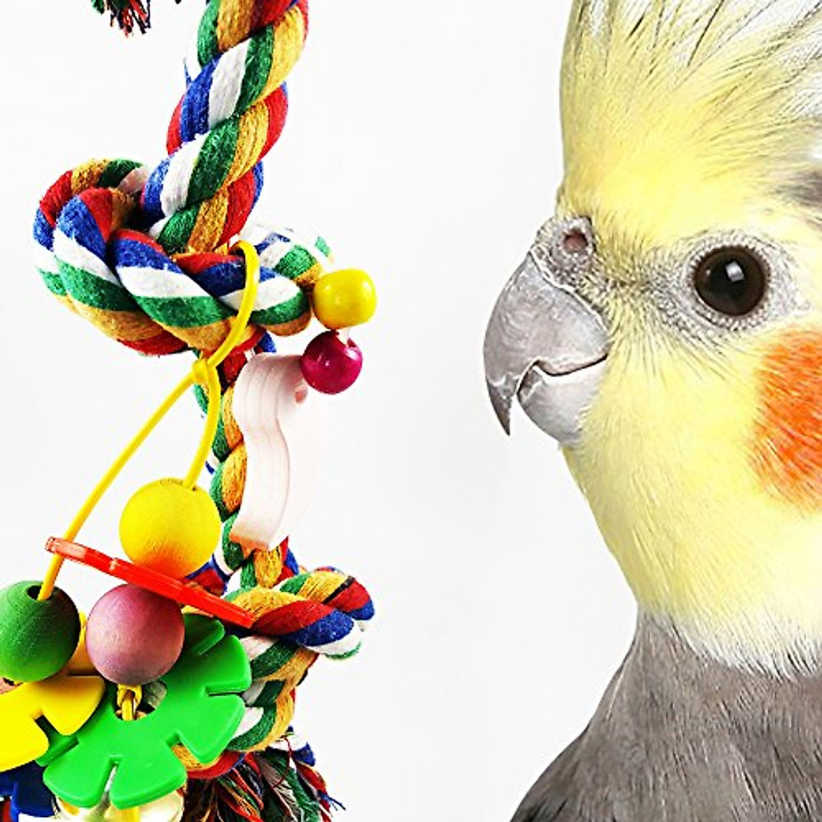 SONGBIRDTH Parrot Chew Toys - Bird Parrot Pet Colorful Rope Chewing Teeth Grinding Hanging Toy Decoration Bell for Medium and Small Parrot Colorful