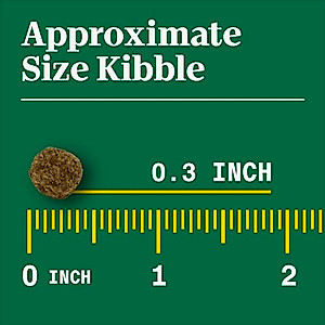 Nutro Natural Choice Small Bites Adult Dry Dog Food, Salmon & Brown Rice Recipe, 28 lb. Bag