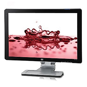 HP W2408 Vivid Color 24-inch Widescreen Flat LCD Monitor with BrightView Panel