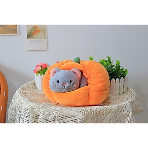 Hopearl Halloween Cat Pumpkin Cave Sufffed Animal 2 in 1 Playset Pet with Pumpkin House Plush Toy Pillow with Separable Kitty Gift for Kids, 9.5''