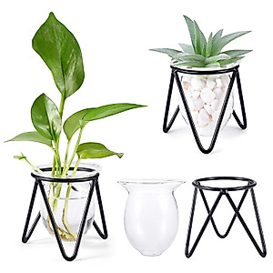 Jspupifip 3 Pcs Glass Plant Terrarium with Metal Stand, Air Plants Holders Hydroponic Plant Vases Desktop Bulb Glass Vase for Indoor Plants Home Garden Office Decoration, Black