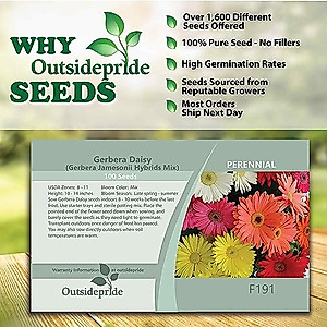 Outsidepride Gerbera Daisy Indoor House Plant or Flower Mix for Outdoor Containers, Pots, Planters, Beds - 100 Seeds