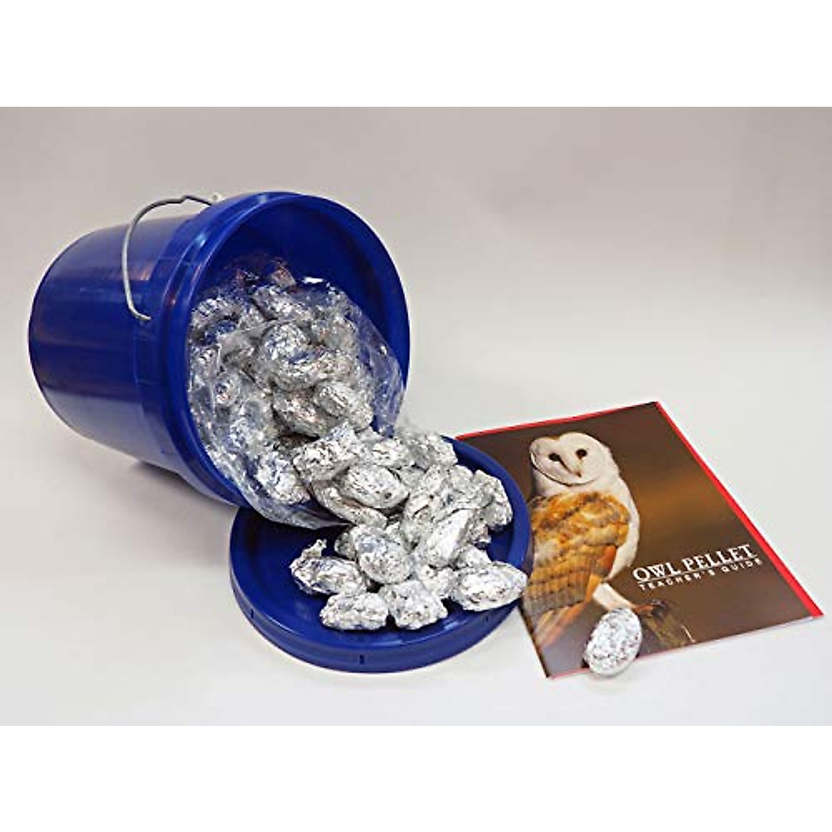 P1-100 Bargain Bucket, 100 Regular Owl Pellets with Teachers Guide and Bone Sorting Sheets