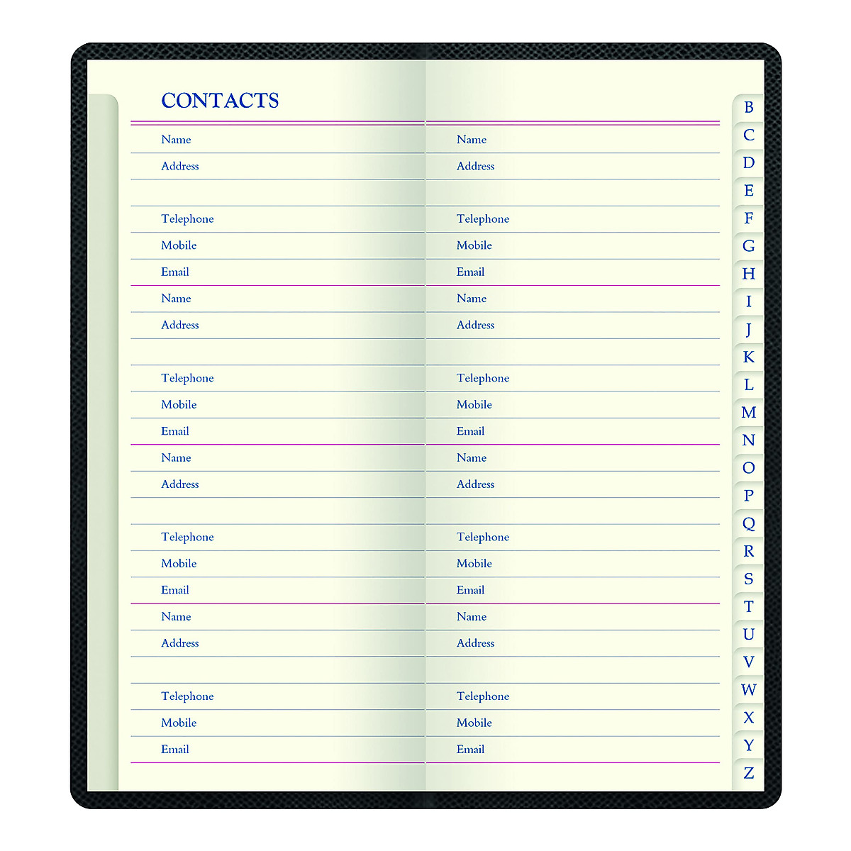 LETTS Note Origins Collection Slim Pocket Size Address Book with Gold Pen, Ruled, 160 Pages, Cream Paper, 5.75" x 2.75", Black (B090028)