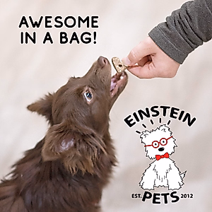 Einstein Pets Everydays Backyard BBQ Crunchy Heart Shaped Treats, All Natural Protein Packed Organic Dog and Puppy Baked Biscuit Training Treat, Pork, Pineapple Honey Recipe with CHIA 6, Ounce Bag