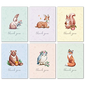 Sweetzer & Orange Woodland Animal Thank You Cards Bulk Box Set of 48 Blank Cards with Envelopes - Baby Shower Note Cards, Wedding Thank You Cards or Bridal Shower Thank you Card