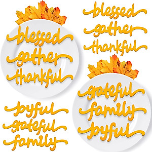 Yookeer 12 Pieces Thanksgiving Wood Cutouts Cards Fall Plate Decorations Thanksgiving Place Setting Thankful Grateful Blessed Family Joyful Wood Table Sign for Thanksgiving Dinner Decorations