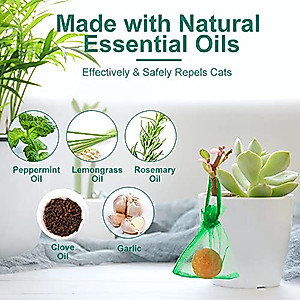 5 Pack Natural Cat Repellent Outdoor Indoor, Peppermint Oil Cat Deterrent Outdoor Repels Cat Dog Deer Rabbit from Garden Yard Lawn Home Keep Your Yard Lawn Porch Furniture Curtain from Cat Damages