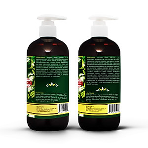 Tea Tree Oil & Biotin Shampoo & Conditioner Set for Men & Women | Professional Strength Formula | Refreshes & Stimulates Hair & Scalp | Moisturizing, Conditioning & Anti Hair Loss with DHT Blockers