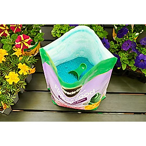 Miracle-Gro Water Soluble Bloom Booster Flower Food, Plant Food for Annual and Perennial Flowers, In-Ground and Container Plants, Roses, Hydrangeas, Hibiscus, 5.5 lb.