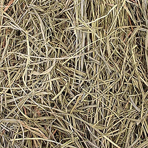 Grandpa's Best Orchard Grass Hay for Rabbits, Guinea Pigs, Chinchillas, Hamsters & Gerbils, 5lb Loose Boxed, Brown