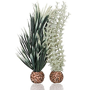 biOrb Ambulia Small Grey/Green