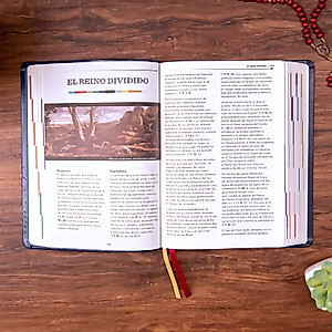 Santa Biblia: The Great Adventure Catholic Bible (Spanish Edition)
