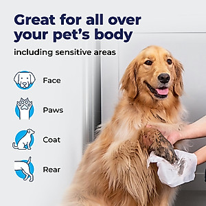 Vetnique Labs Furbliss Hygienic Pet Wipes for Dogs & Cats, Cleansing Grooming & Deodorizing Hypoallergenic Thick Wipes with All Natural Deoplex Deodorizer (Refreshing Scent, 100ct Pouch)