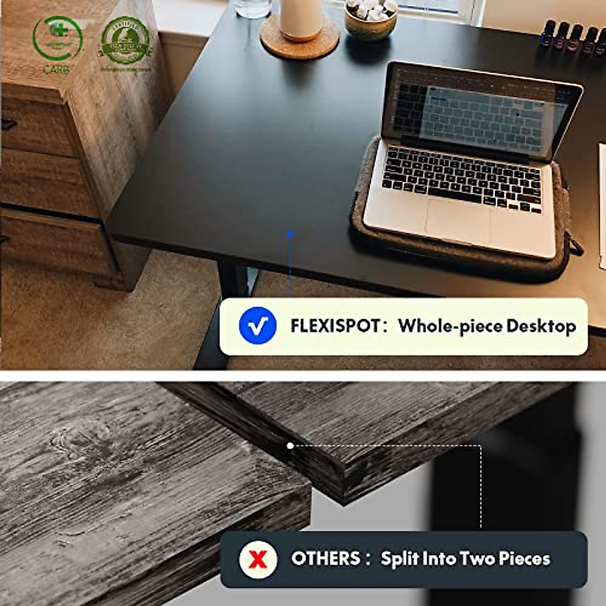 FLEXISPOT EC1 55" Electric Standing Desk for Home Office