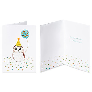 Papyrus Deluxe Boxed Birthday Card Assortment, Bright Birthday (4-Count)