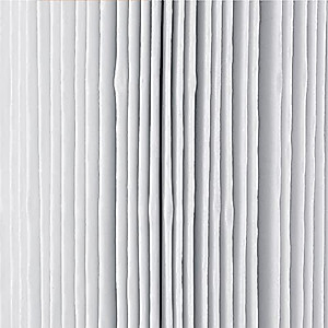 Unicel C-7490 Hayward Replacement Swimming Pool Filter Cartridge PA137 (2 Pack)