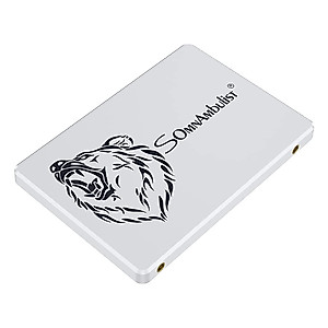 Somnambulist Computer Components ssd Disk sata 3 Built-in Hard Disk Storage Suitable for Personal Computers and laptops 2tb 120gb 960gb 240gb (White Bear 2TB)