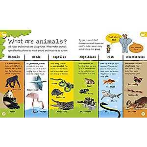 My Encyclopedia of Very Important Things: For Little Learners Who Want to Know Everything (My Very Important Encyclopedias)