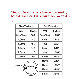 LOVEBODYJEWELRY 316L Surgical Steel Seamless Nose Ring Cartilage Hoop Silver/Gold/Rose Gold/Black 16G 18G 20G 6mm-12mm CZ Paved Helix Rook Tragus Lobe Body Pierecing Jewelry Segment Clicker Lip Rings