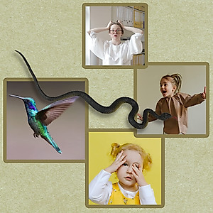 HOHAJIU Fake Snake Toy Rubber Realistic Snake Toy 10 PCS Lifelike Snake Toy Gag Gift for Halloween, April Fool’s Day Party Decoration