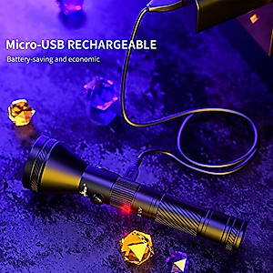 PEETPEN Black Light Flashlight USB Rechargeable 395nm UV LED Blacklight Ultraviolet Waterproof Flashlights Detector for Pets Dog Urine and Stains with Battery