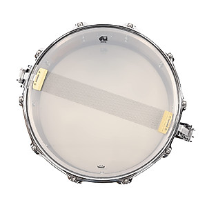 Drum Workshop DW Collector's Series Stainless Steel Snare Drum with Chrome Hardware 14x6.5" DRVL6514SPC