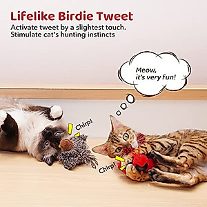 Potaroma Cat Toys Chirping Birds 2 Pcs with Catnip SilverVine, Interactive Cat Kicker, Lifelike Birdie Tweets, Indoor Kitty Kitten Exercise Toys 4.0"