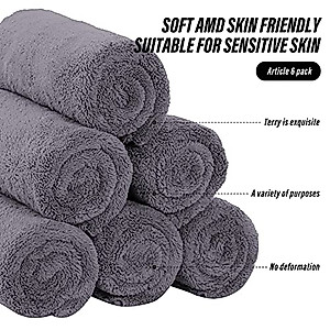 MOONQUEEN 6 Pack Premium Hand Towels - Quick Drying - Microfiber Coral Velvet Highly Absorbent Towels - Multipurpose Use as Hotel, Bathroom, Shower, Spa, Hand Towel 16 x 28 inches (Gray)