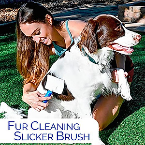 Horicon Pet 6 In 1 Premium Dog Brush Set - Dog Grooming Brushes - Ball Pin & Bristle Brush, Curved Blade Dematting Comb, Slicker Brush, Deshedding Edge Comb, Detangling Pet Comb