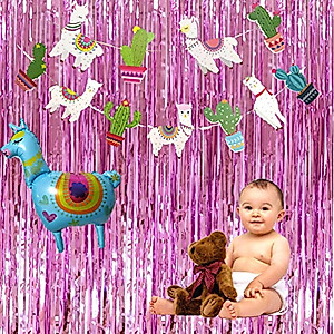 Cute Alpaca/ Llama Boho Fiesta Llama Party Birthday Banner ,Succulent Plants Indoor Cactus Llama Decor for Kids ,Boys,Girls ,Birthday ,Baby Shower ,Mexican Fiesta ,Cinco De Mayo Party,Taco Twosday Party Decorations