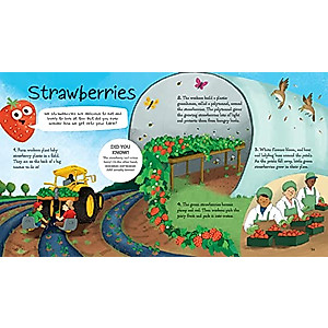 Where Does My Food Come From?: The story of how your favourite food is made