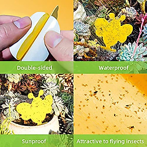 Kensizer 16pcs Yellow Sticky Traps for Gnats, Sticky Fruit Fly Fungus Gnat Trap Bug Traps Killer for White Flies, Aphids, Leaf Miners, Thrips Indoor Outdoor