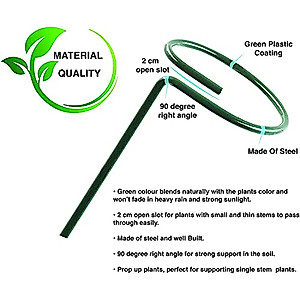 Greenpeas Plant Stake Support - 3-Inch Diameter Steel Support Stands with Green Plastic Coating - Gardening Brace Sticks for Single Stem Flowers, Amaryllis, Tomatoes, Peony, Lily - 16" Tall, 5 Pieces