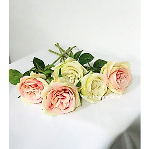Sweet Home Deco, 15''Silk English Rose, Artificial Garden Rose, Single Rose, Spring Rose, Realistic Rose, Wedding/Home/Party Decoration Rose (Pink x 3 Stems)