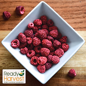 Ready Harvest Freeze Dried Raspberries Whole Foods for Emergency Food Storage, Camping Supplies, and Survival Kits | Sealed Fresh in #10 Can | 30 Year Shelf Life | 1 Can