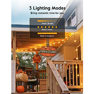 Brightown String Lights Outdoor Waterproof with Remote Cable Ties and Hooks, 38FT G40 Patio Lights with 15 LED Shatterproof E12 Bulbs, 3 Light Modes, Dimmable Hanging Lights for Backyard Party Decor