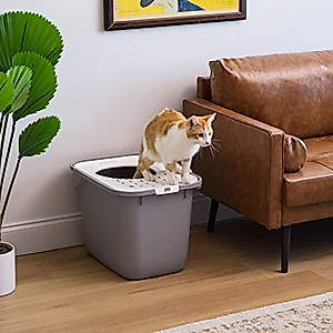 IRIS USA Square Top Entry Cat Litter Box, Large Kitty Litter Tray with Litter Catching Lid Less Tracking Dog Proof and Privacy Walls, Gray/White