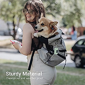 SVD.PET Dog Poop Bag Dispenser, Retractable Waste Bag Holder, Lightweight, Stretchy Strap Fits Any Dog Leash, Walking Accessory (Green Tea)