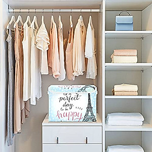 WELLDAY Perfect Day Paris Storage Baskets Foldable Cube Storage Bin with Lids and Handle, 16.5x12.6x11.8 In Storage Boxes for Toys, Shelves, Closet, Bedroom, Nursery