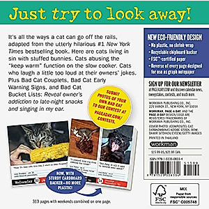 Bad Cat Page-A-Day Calendar 2021