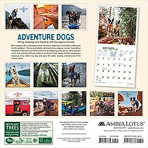 Adventure Dogs 2021 Calendar