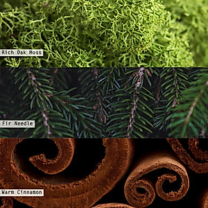 ILLUME Large Baltic Glass Candle, Balsam & Cedar