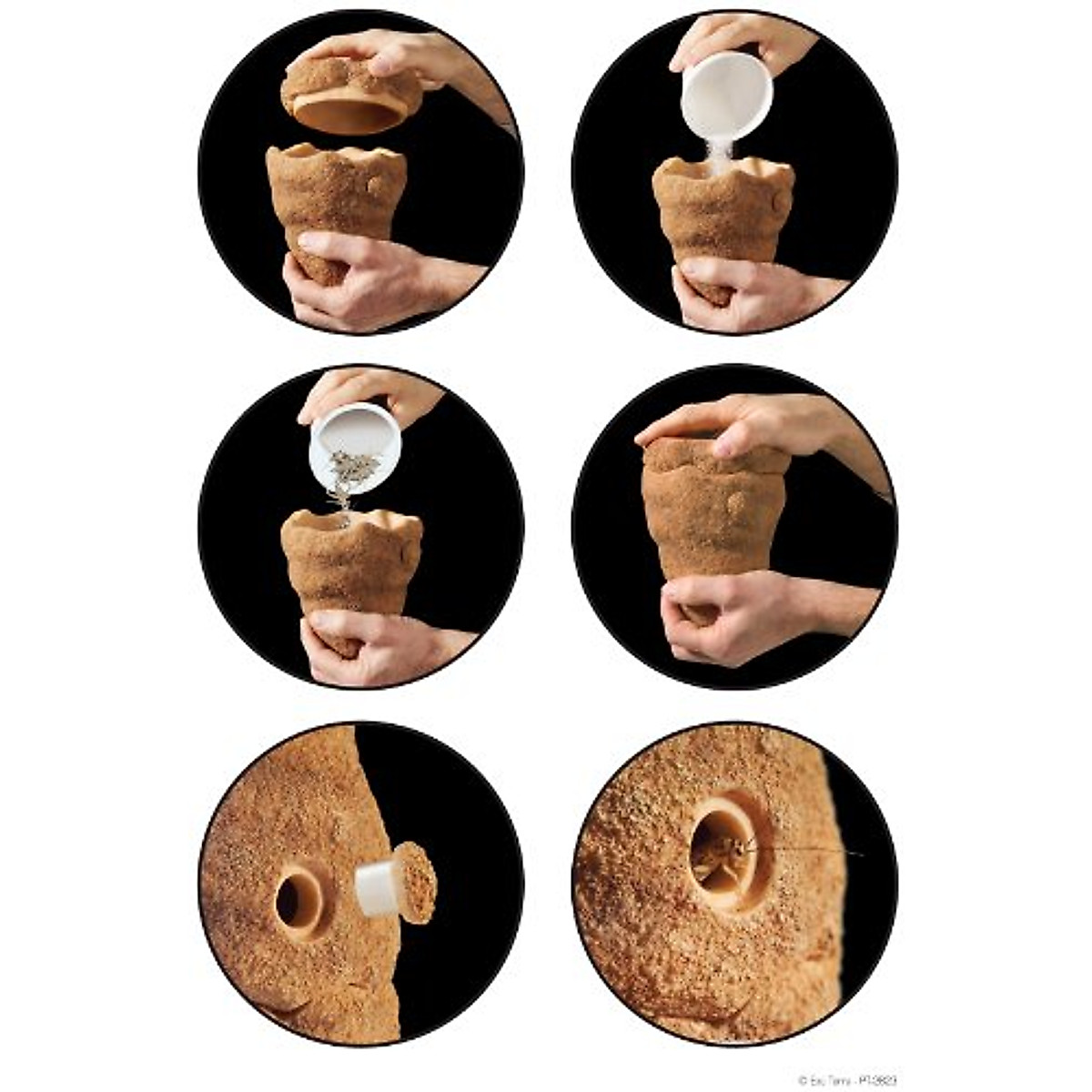 Exo Terra Termite Hill