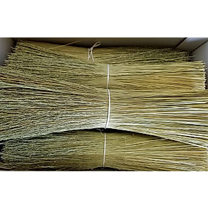 Broom Corn for Crafting and Broom Making 10 Pound Bundle 20" Length (Broom Corn)