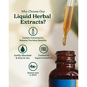 Herb Pharm Organic Nootropic Brain & Memory Supplement with Ginkgo Biloba Liquid Extract: Fast Absorption for Mental Focus Support, Ginkgo Supplement, Vegan, Gluten-Free, Non-GMO, 1 Oz